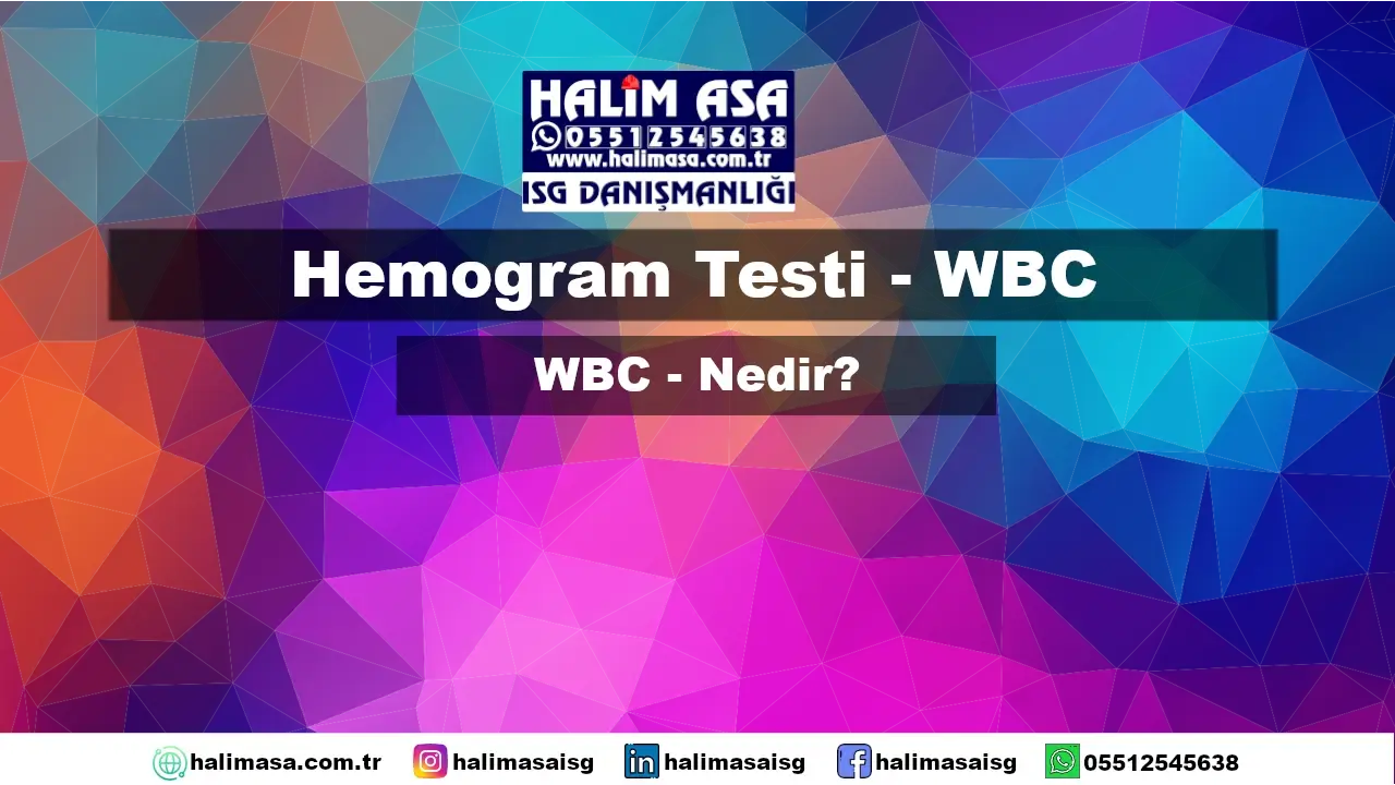 WBC Nedir Halim ASA Bursa OSGB SG BYS Yaz l m LMS Dan manl k WBC Nedir Halim ASA Bursa OSGB SG BYS Yaz l m LMS Dan manl k